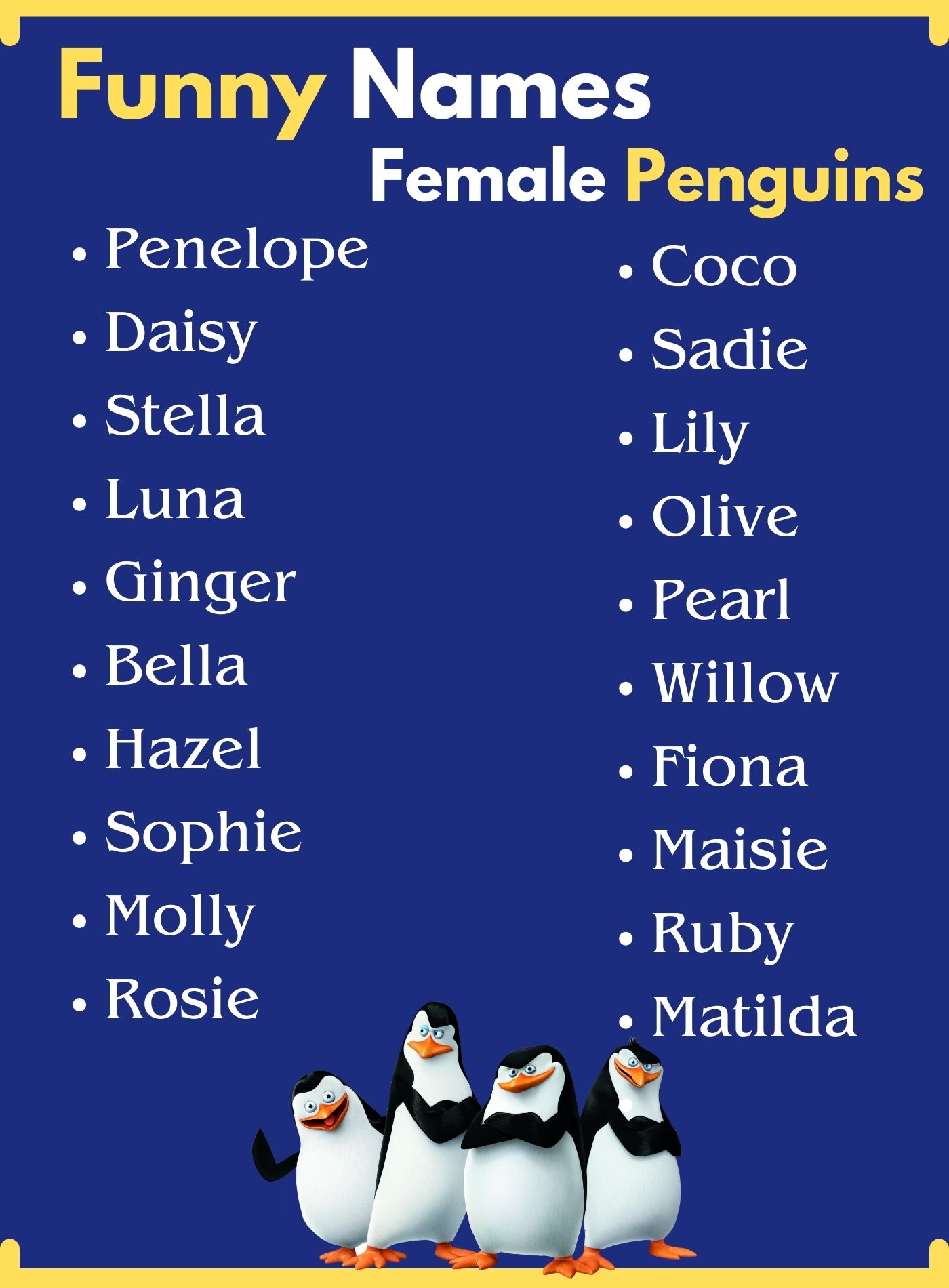 160+ Funny Names For Penguins - Namez Guru